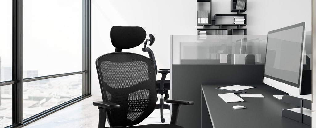 Back Support for Office Chairs – Work Comfortably All Day